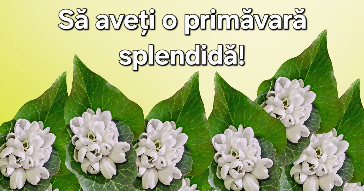 Felicitări de 1 Martie 2025. Cele mai frumoase urări și mesaje de ...