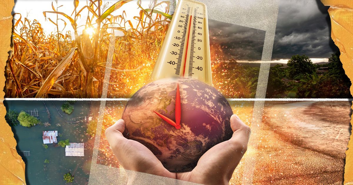 Ce ne spun noile prognoze ale Organizației Meteorologice Mondiale ...