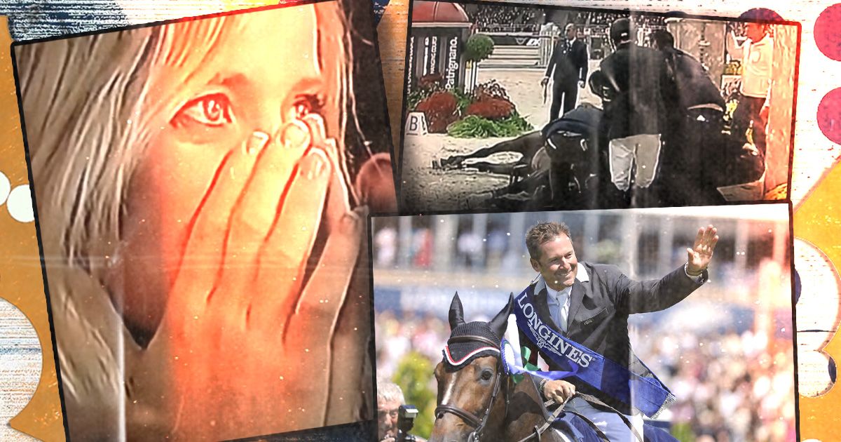 Falko nu e singurul: Povestea tragică a altor doi cai morți pentru ...