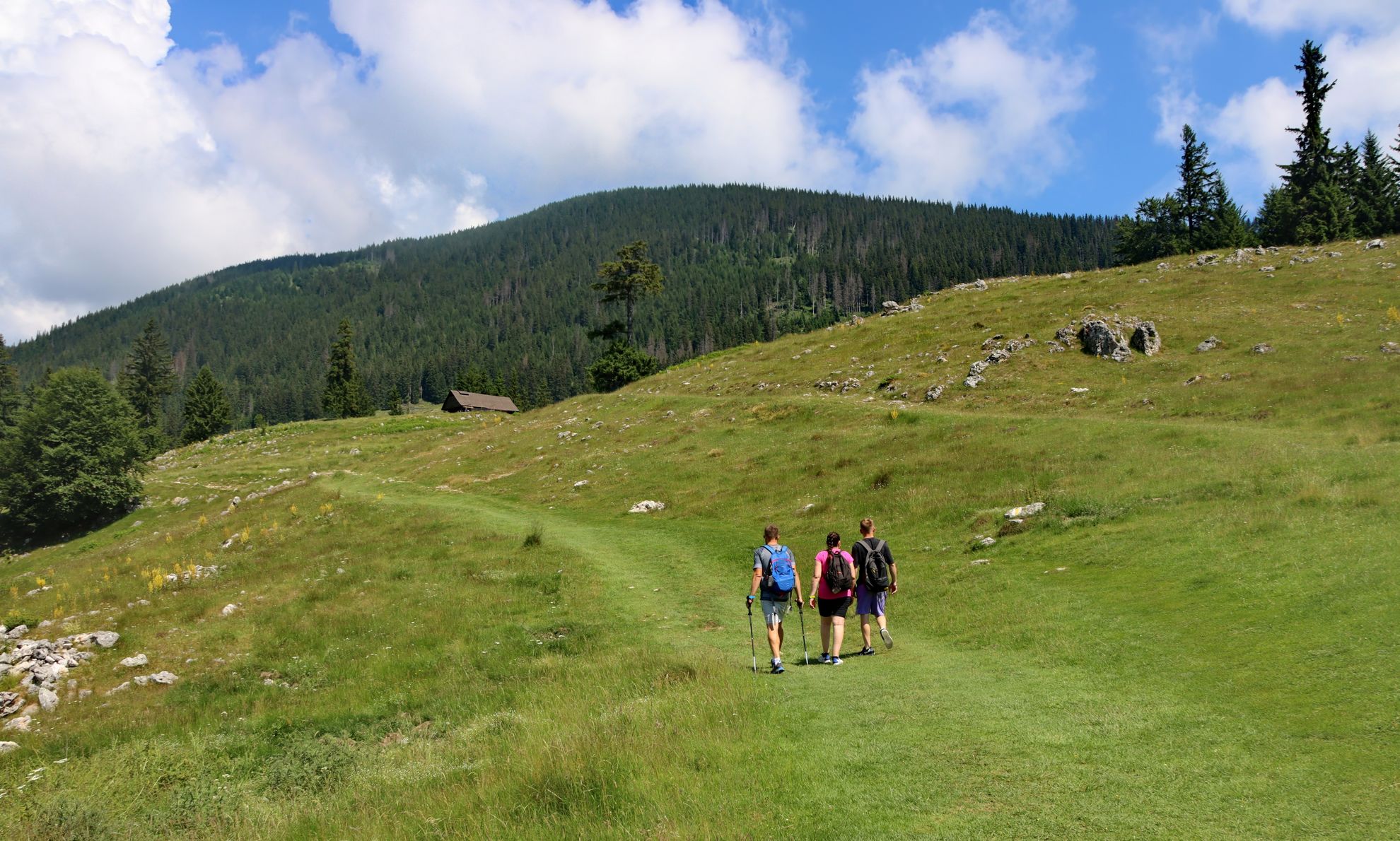 Program vizitare Palatul Cotroceni din București. Vezi când e deschis ...