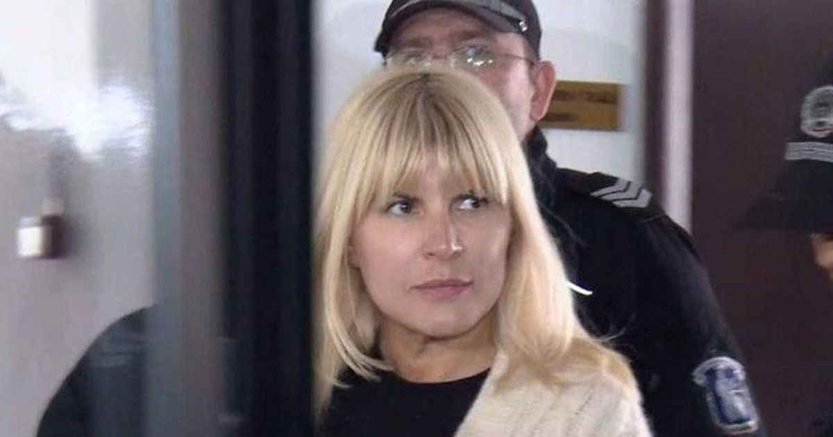 Elena Udrea ar putea ieși din închisoare la finalul acestei săptămâni! Comisia de la ...