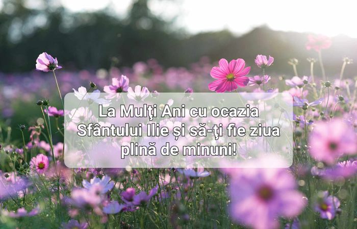 Poze cu text și felicitări de Sfântul Ilie 2025. Cele mai frumoase ...