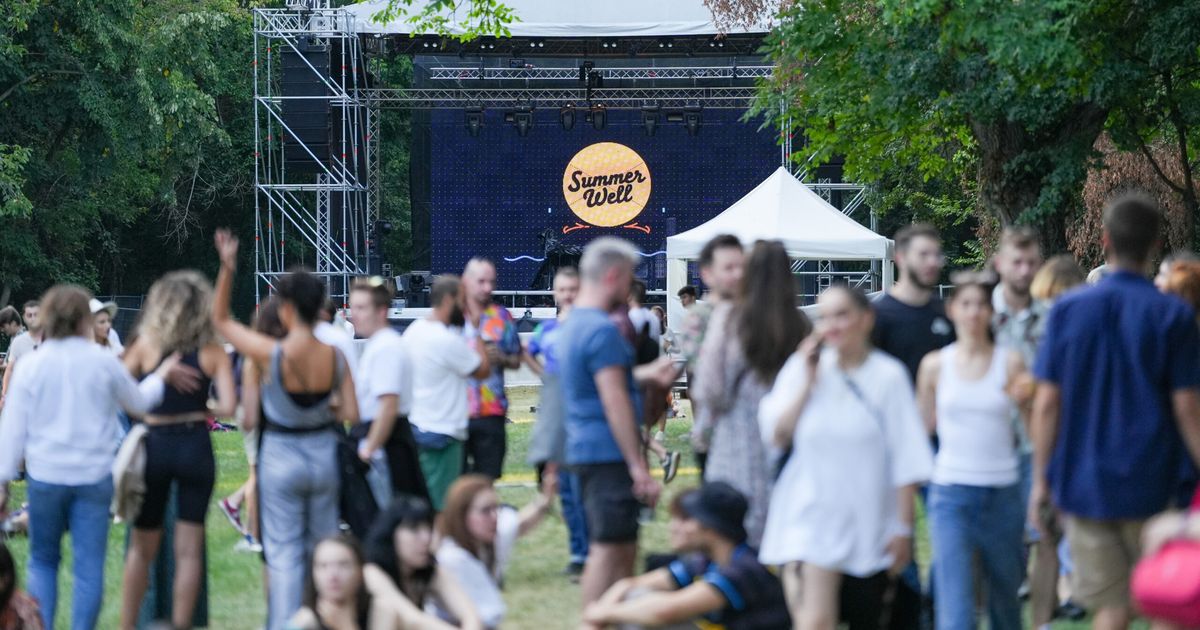 Cine vine la Summer Well 2025? Festivalul va avea loc în perioada 8 -10 ...