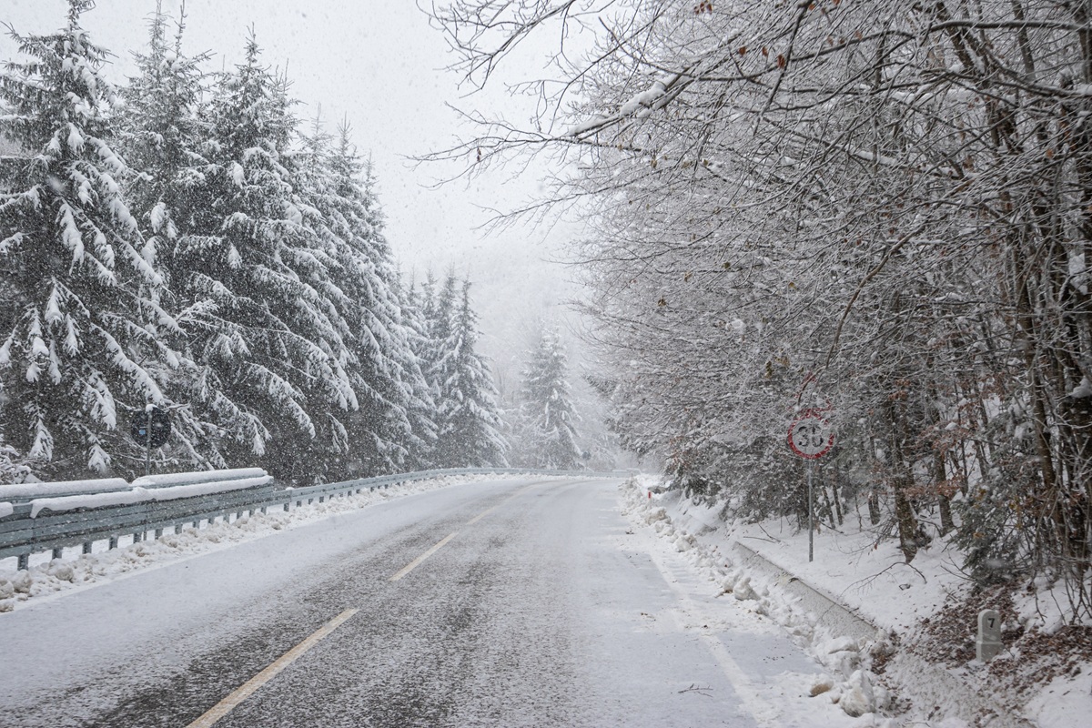 Un sarpe a intrat in camera unei fetite de 9 ani! Ce i-a facut sarpele ...