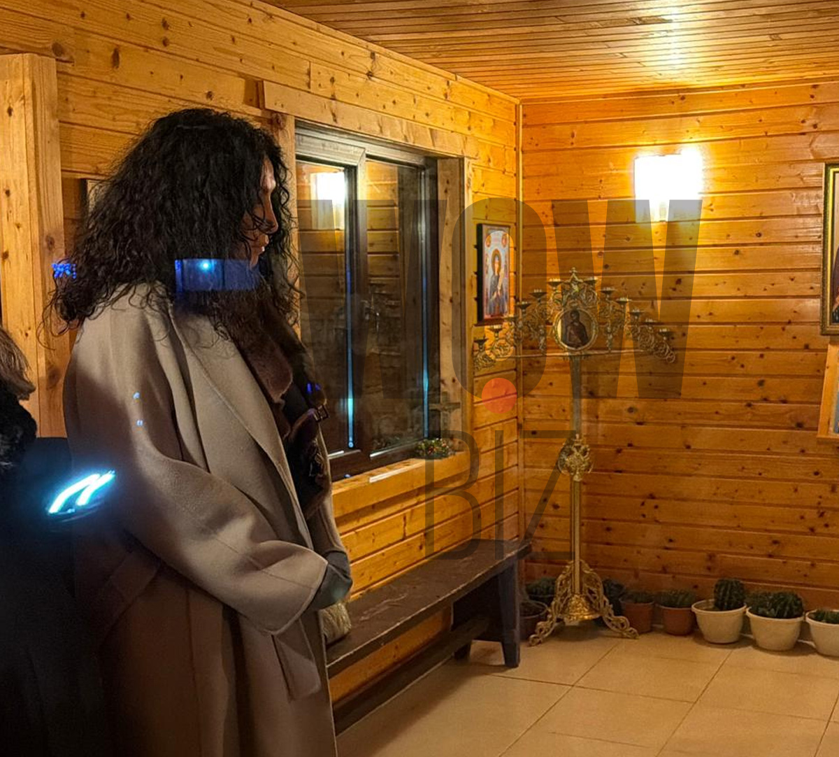 Cine este Celine Dion? Biografie: vârstă, carieră, familie. Celebra ...