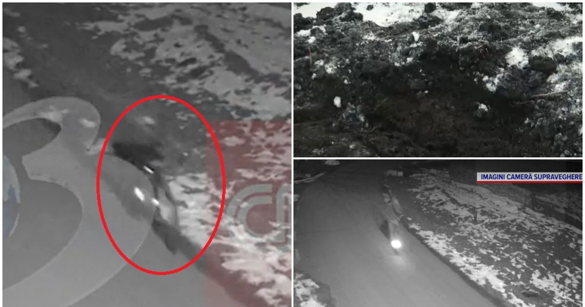 Imagini noi cu crima din Cenei! Camerele de supraveghere au surprins ...