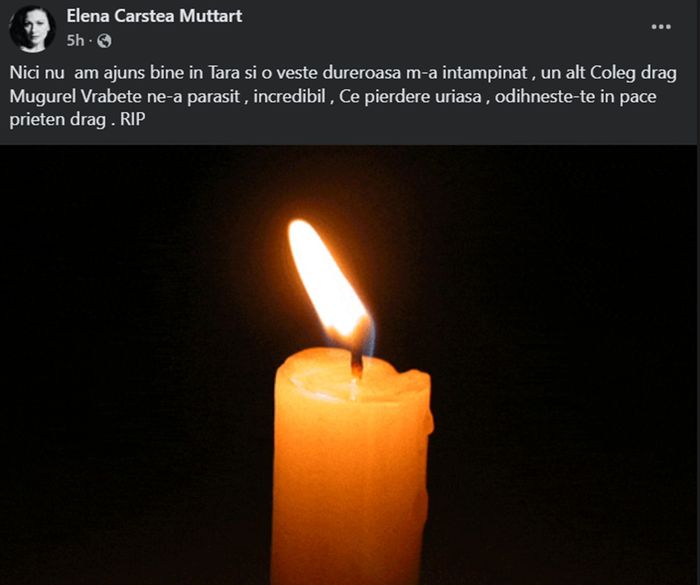 Elena Cârstea a revenit în România după 10 ani, în scaun cu rotile ...