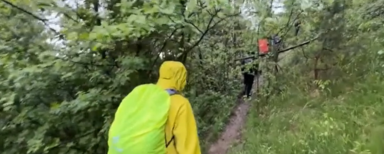 Tragedie pe un drum din Vrancea! Doi tineri au murit carbonizați în ...