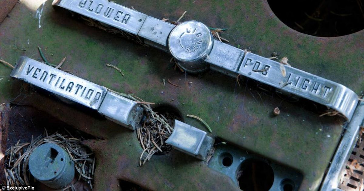 Peisajul uluitor creat de "un cimitir de masini"! Automobilele din al ...