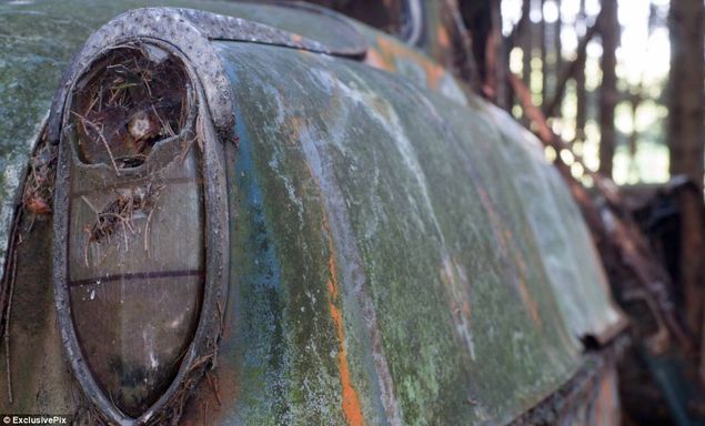 Peisajul uluitor creat de "un cimitir de masini"! Automobilele din al ...