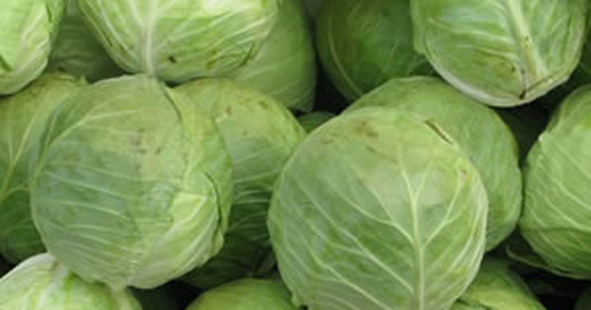 Dieta cu suc de varza face minuni: slabesti si iti detoxifici ...