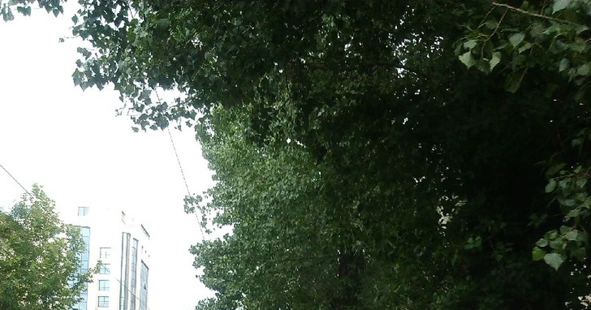Asta e cel mai inconstient cocalar din Bucuresti! Uite ce face el in ...