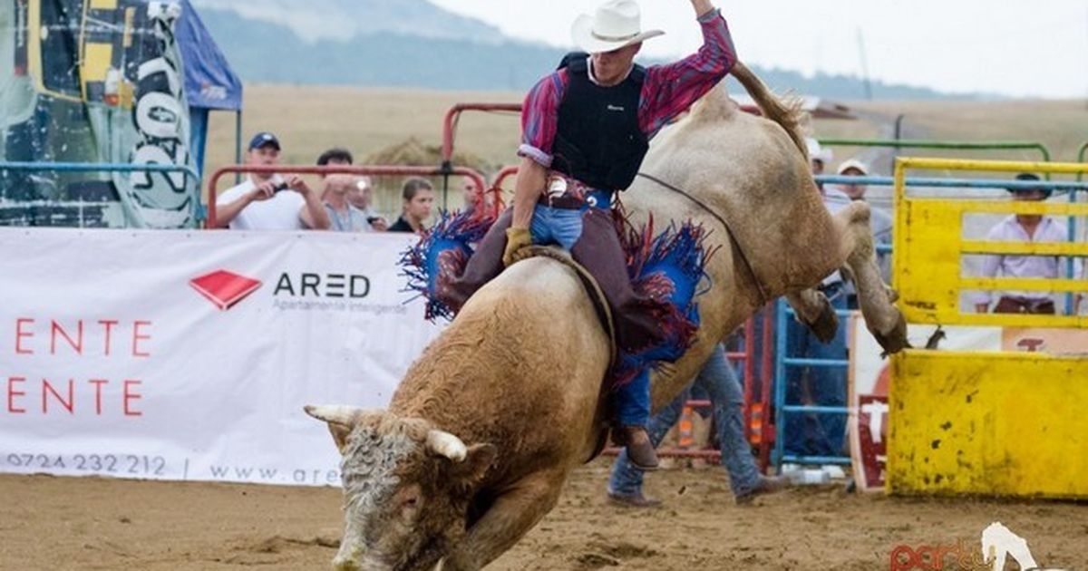 Vestul "salbatic" din Romania! Bihorenii au facut show mai ceva decat ...