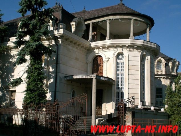 Cea mai bogata familie din Timisoara! Clanul Carpaci detine un numar ...