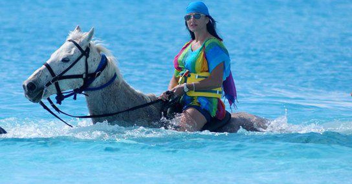 Uite-o pe nevasta lui Gino Iorgulescu, doctor psiholog, cum calareste ...