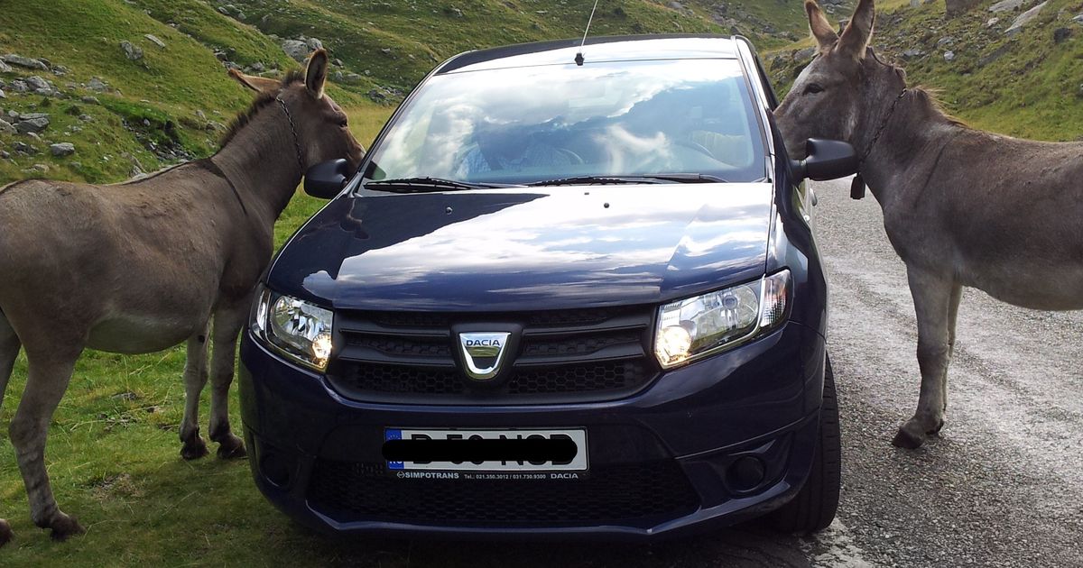 Care e mai frumos, Transfagarasanul sau Transalpina? O echipa de ...