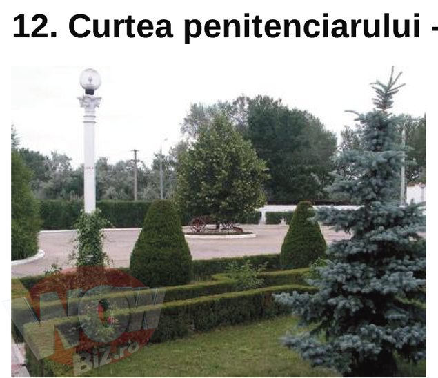 Nu e pacaleala de 1 aprilie! Fratii Becali si Borcea, mutati in ...