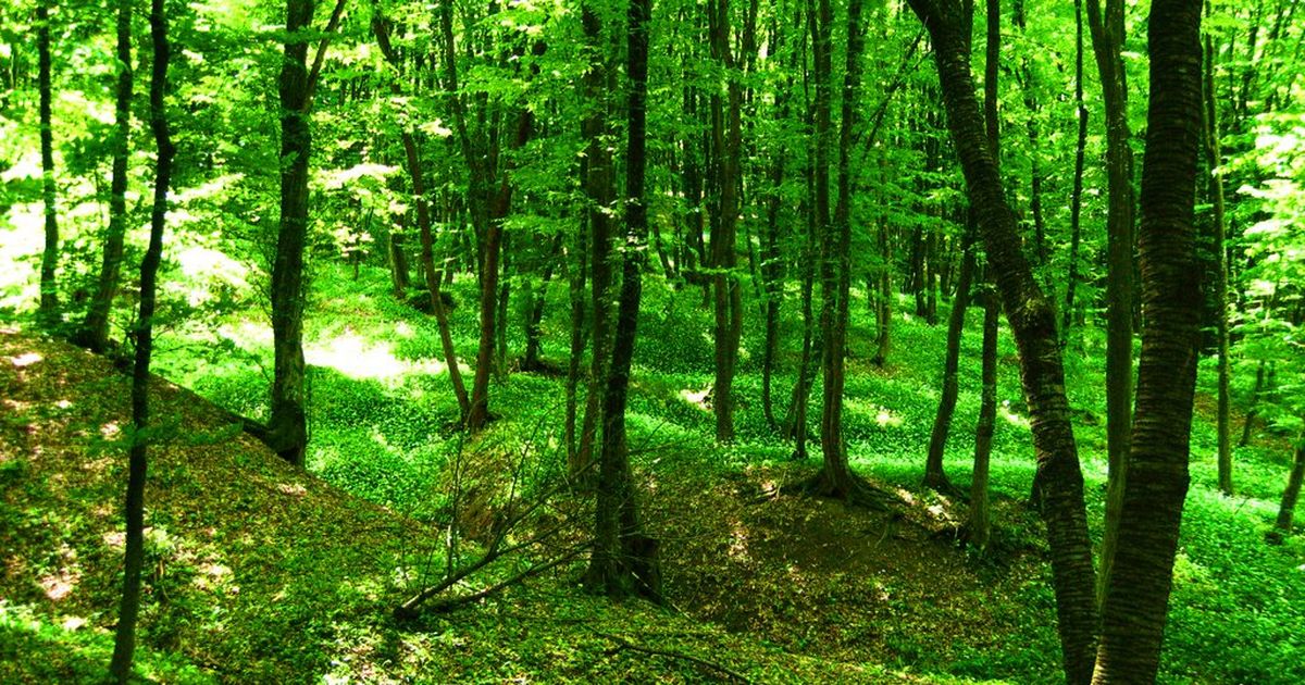 Caz socant in Bacau! O fetita de doi ani, lasata o noapte intreaga in ...