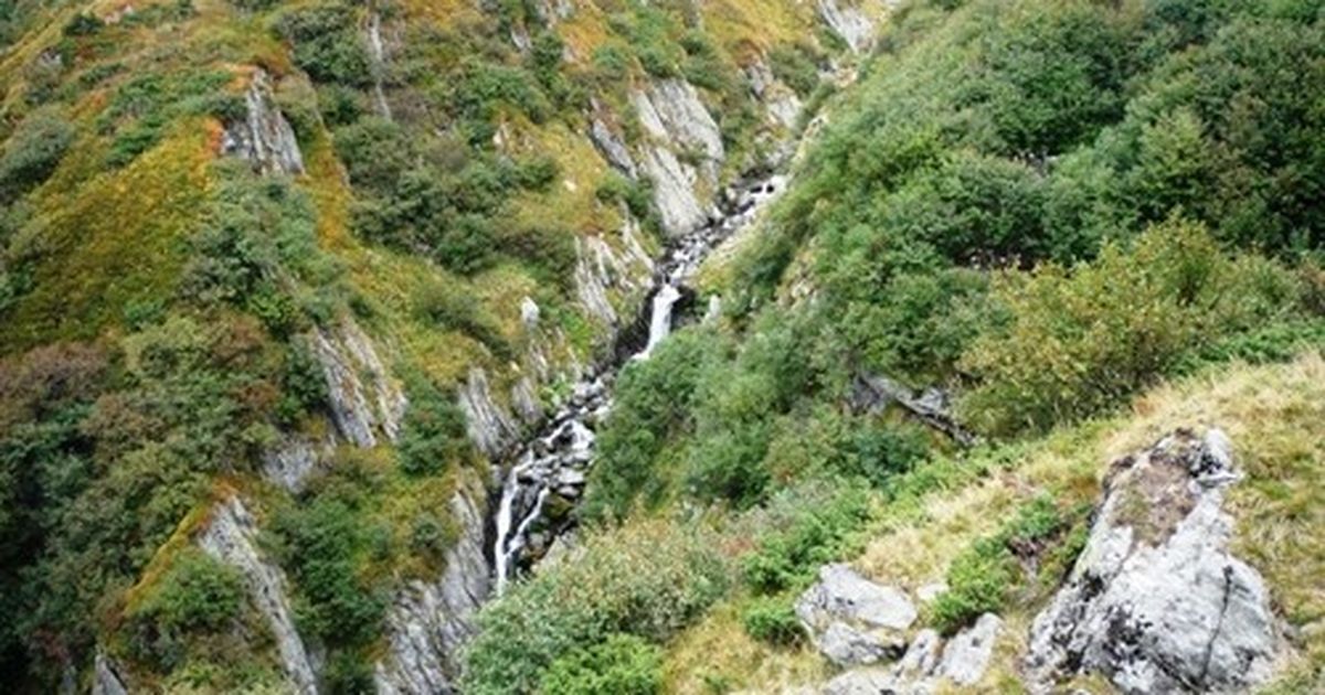 Actor roman, celebru la Hollywood, dat disparut in muntii Avrigului ...