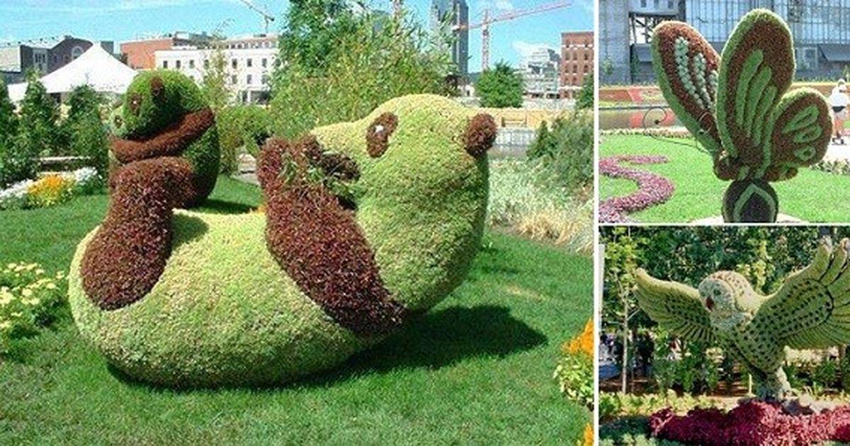 Incredibil cum arata aceste sculpturi din verdeata! Ti-ai face una in ...