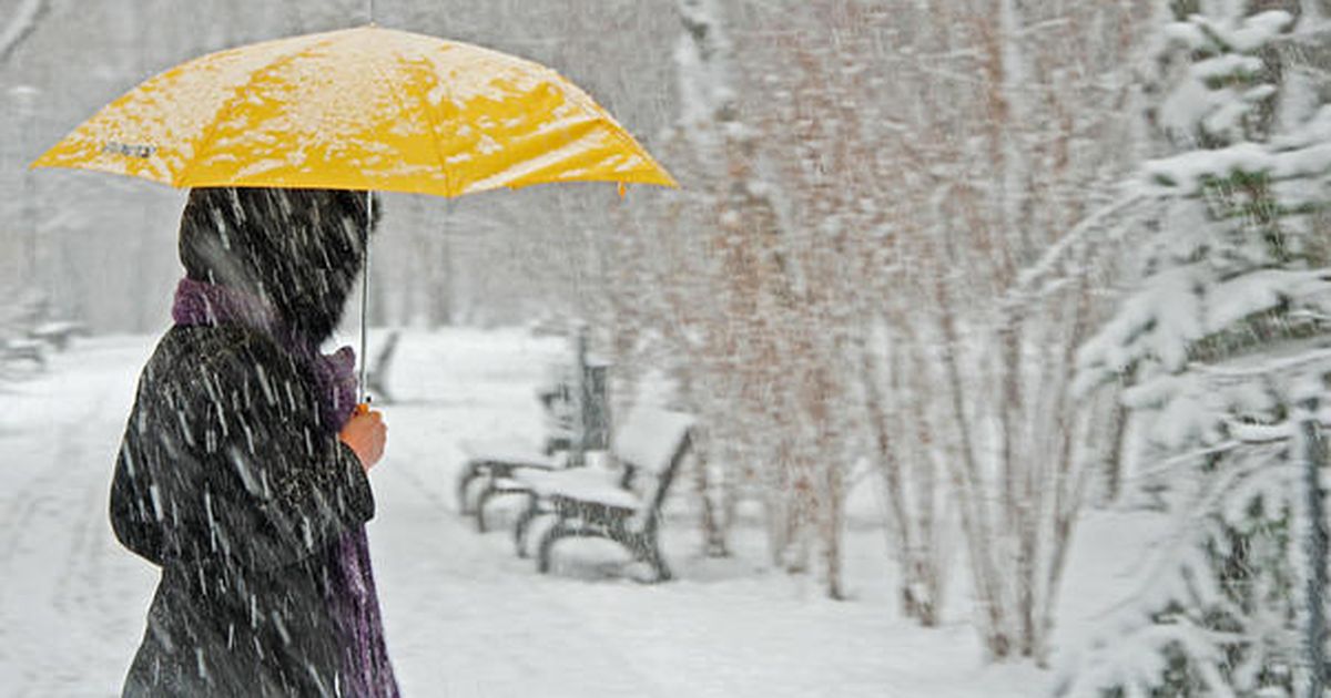 S-a întors iarna! NINGE ABUNDENT si viscoleste puternic PESTE TOT ...