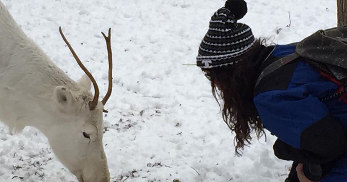 Mihaela Radulescu, senzatii tari la 45 de ani! Se da cu snowmobilul pe ...