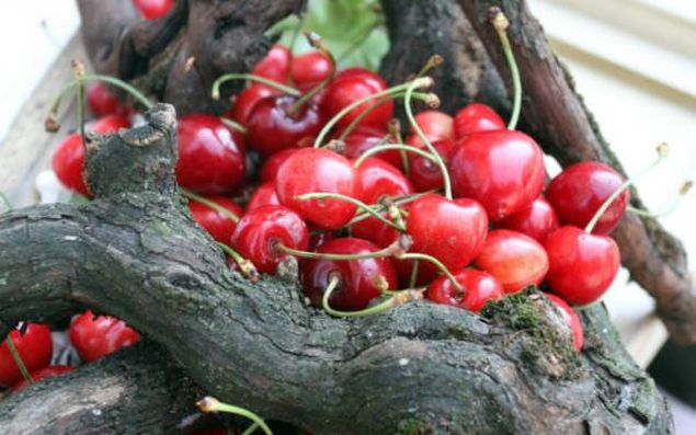 Nu mai arunca niciodata cozile de cirese! Uite ce lucru genial poti ...