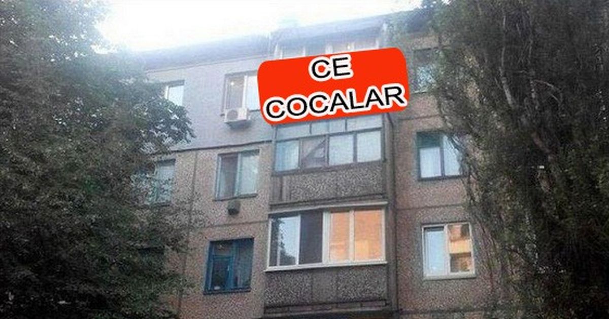 Doamne, ce cocalar! Uite ce si-a scris romanasul asta din Bucuresti pe ...