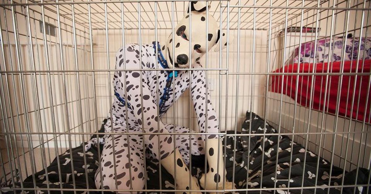 Merge in patru labe, latra si mananca de pe jos! Un rus are cel mai ...