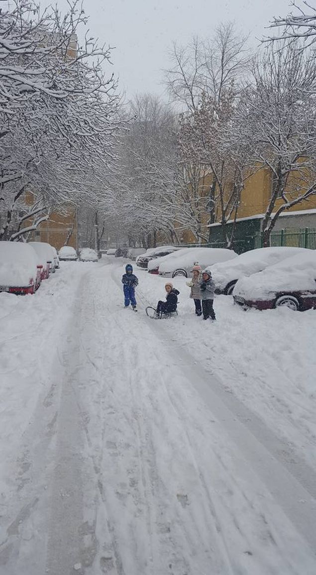 Cele mai frumoase poze cu zapada, facute azi! Iarna nu inseamna doar ...