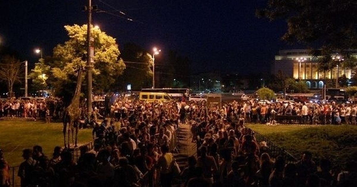 Ploaia nu i-a împiedicat pe români să iasă din case! Românii au format ...