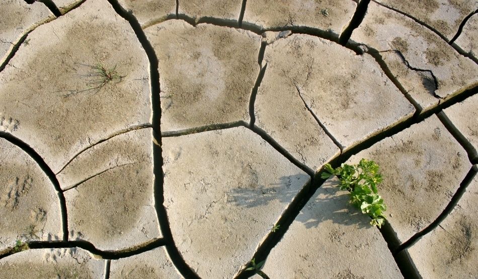 Seceta arde Romania in vara anului 2018. Prognoza meteo pentru ...