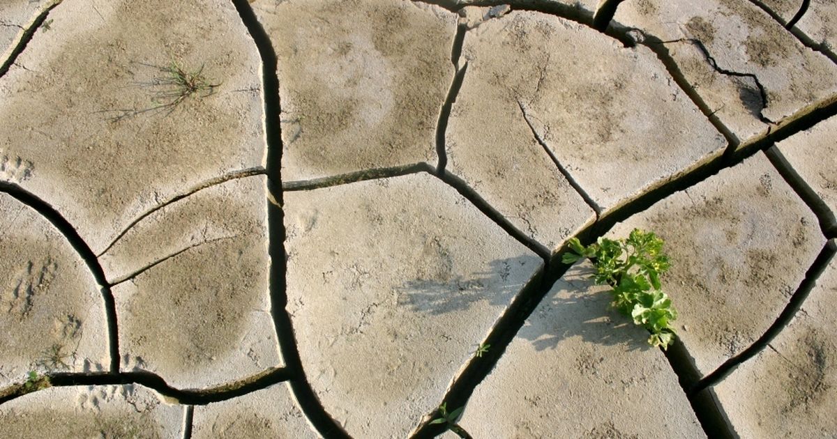 Seceta arde Romania in vara anului 2018. Prognoza meteo pentru ...