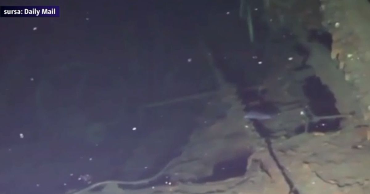 O echipa de scafandri a gasit o epava a unei nave rusesti de razboi cu ...