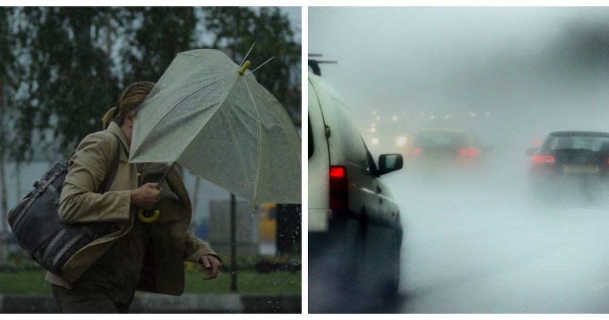 Cod GALBEN de ceata in mai multe judete! Soferi, conduceti cu atentie ...
