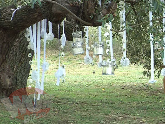 VIDEO! Fiica lui Copos, nunta printre capre, oi, capite de fan si ...