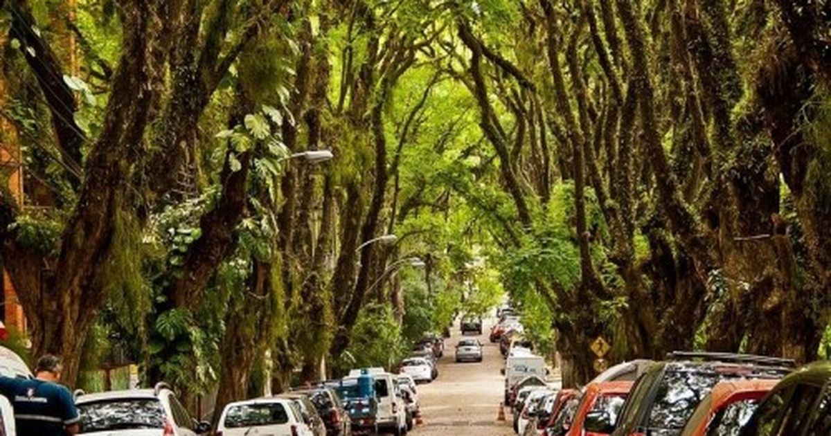 Cum arata cea mai frumoasa strada din lume! Ai vrea sa locuiesti acolo ...