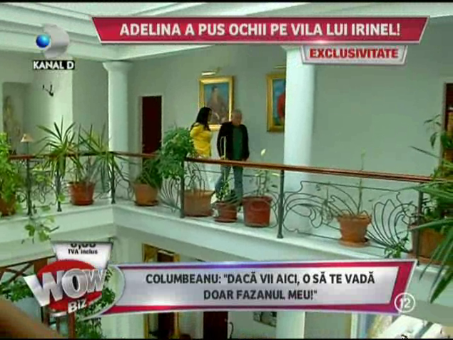 Uite cum arata casa lui Irinel Columbeanu! Adelina Pestritu a fost ...