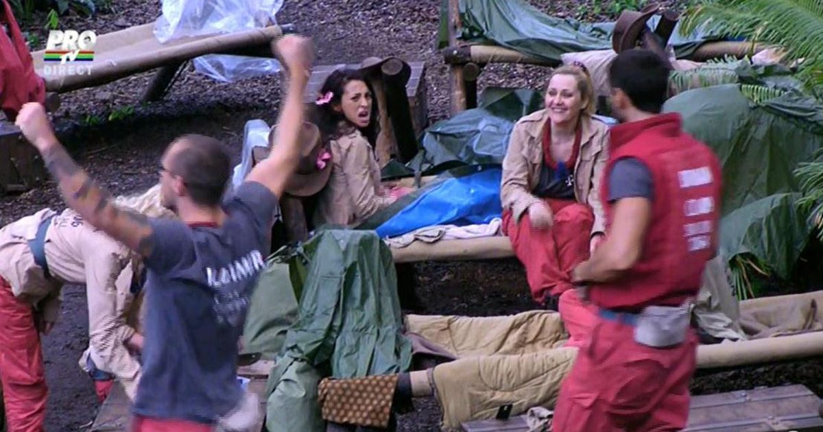 Vedetele de la "Sunt celebru" au facut scandal! Au inceput sa urle de ...