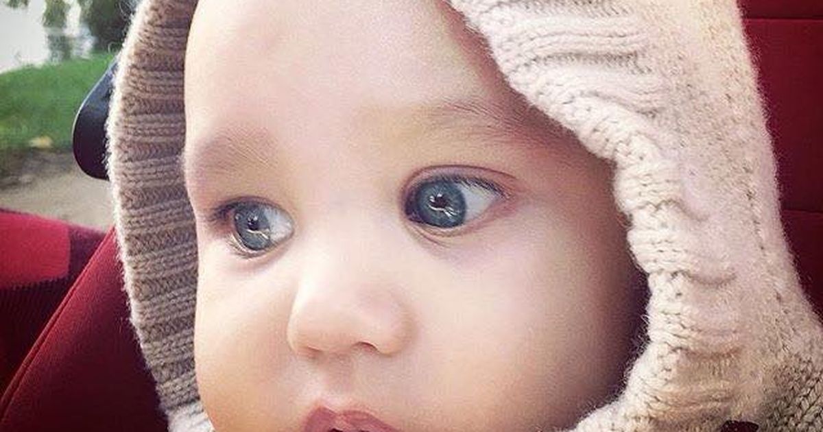 Dominic Velea e cel mai simpatic baietel! Poza cu el cu un catelus in ...