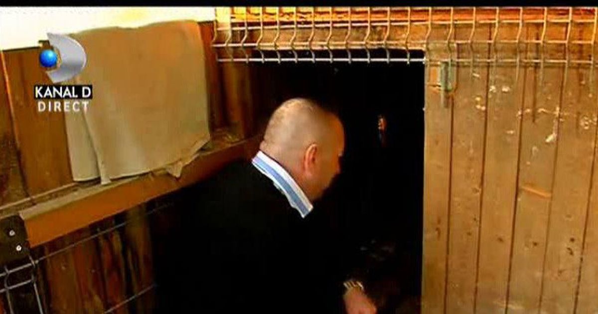 VIDEO Leo de la Strehaia a dus-o pe Loredana la porci! Imagini de ...