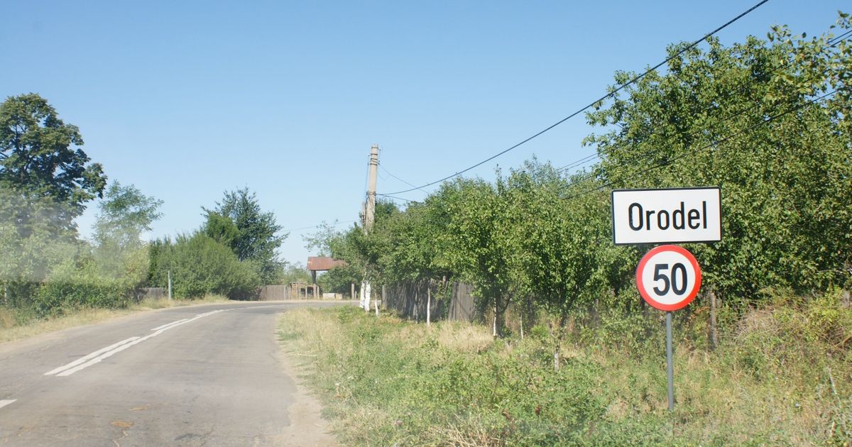 Un var al lui Victor Piturca a ajuns consilier local la primaria din ...