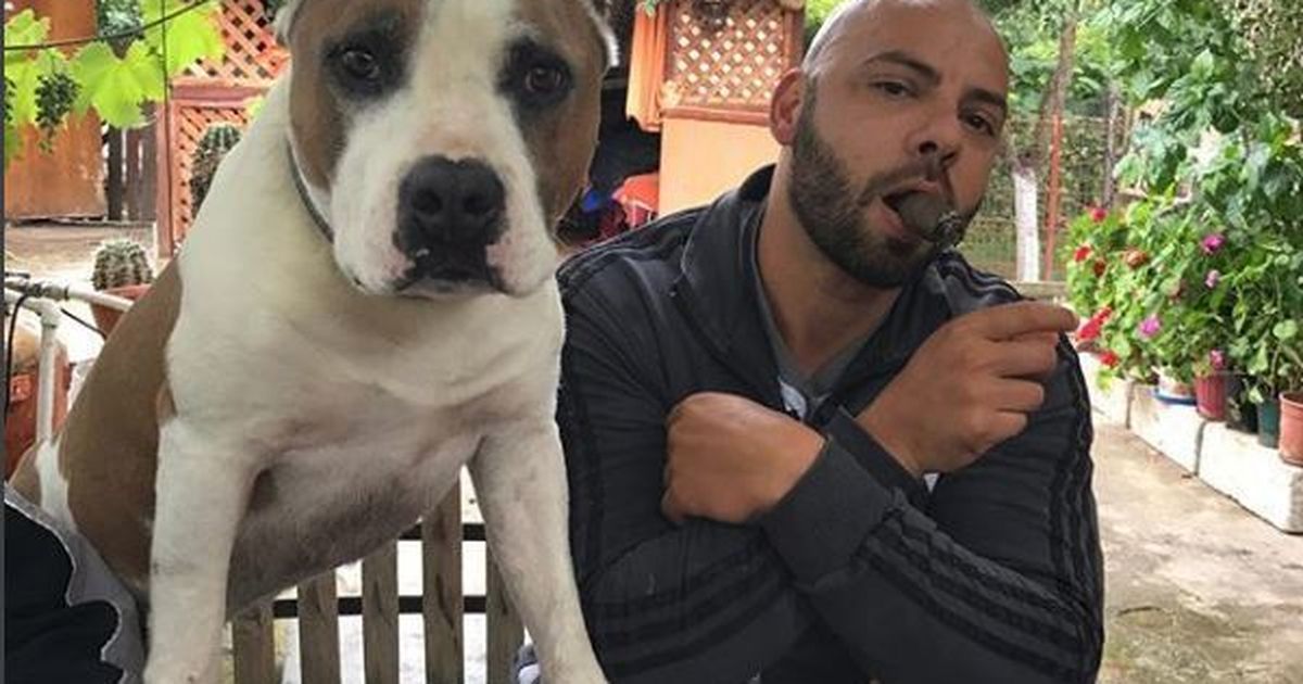 Giani Kirita de la Exatlon are un caine rasa Amstaff. - WOWBiz