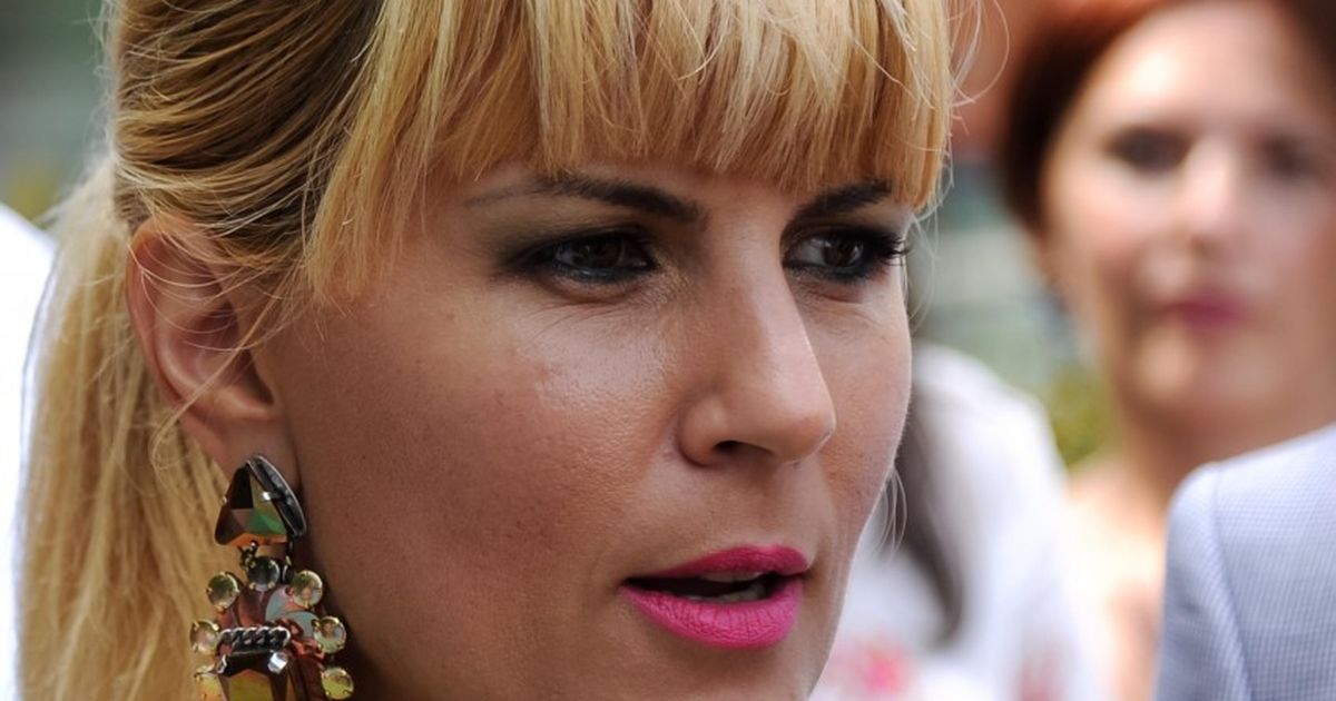 Elena Udrea, prima declaratie dupa ce a nascut: "Are greutatea si lungimea peste cele de ...