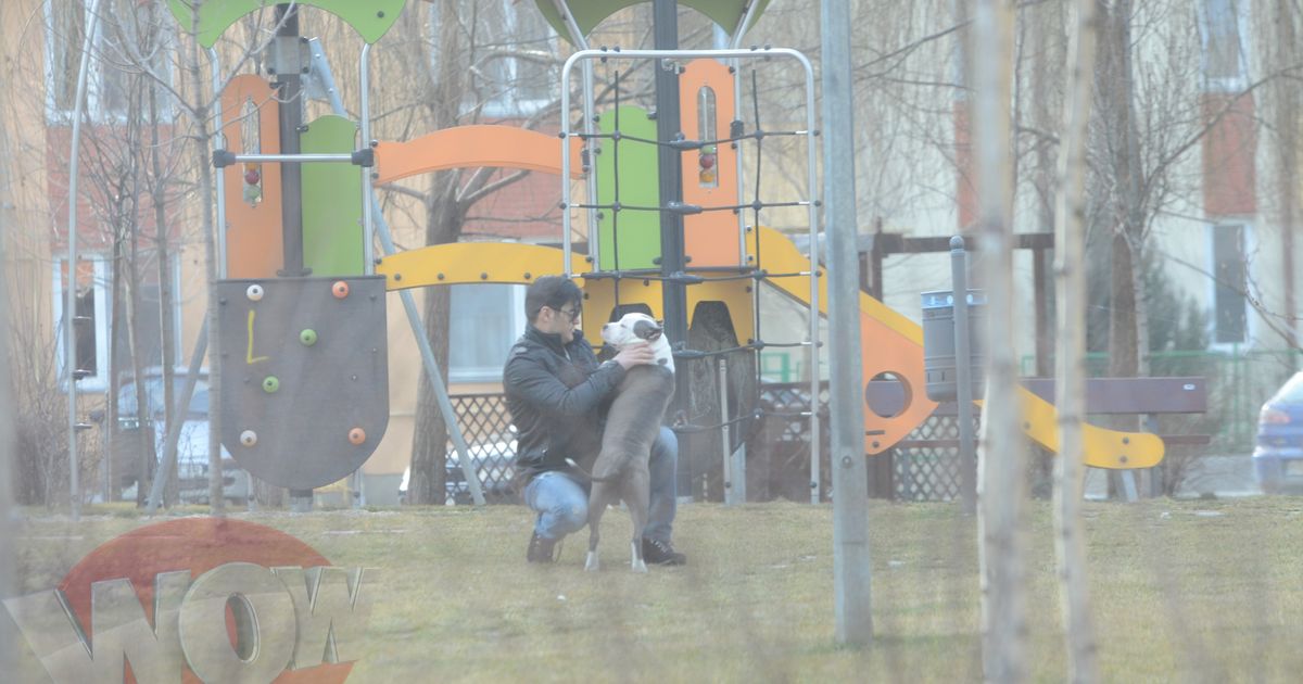 O zi din viata lui Liviu Varciu fara Adelina! Vezi ce a facut, pas cu ...