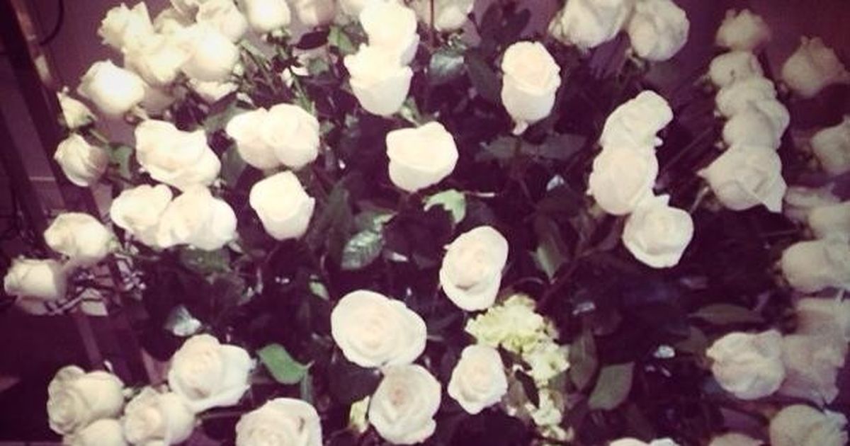 EXCLUSIV! 100 de trandafiri care au transformat o relatie de dragoste ...