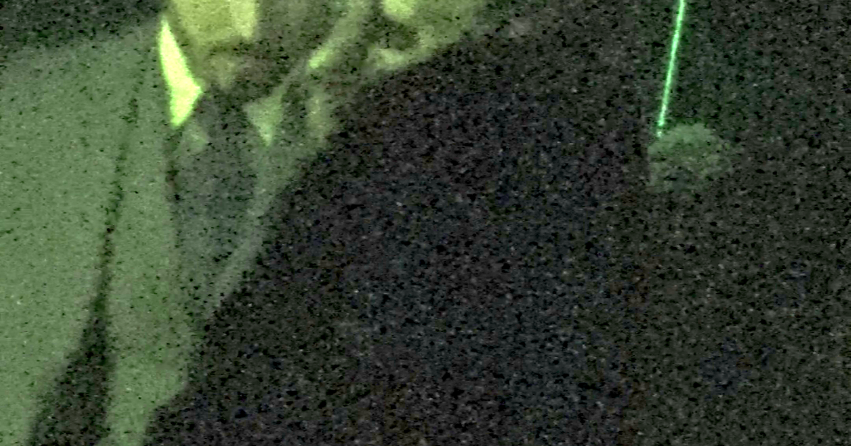 VIDEO EXCLUSIV | Denisa Nechifor si "printul" Adrian Cristea, al doilea ...