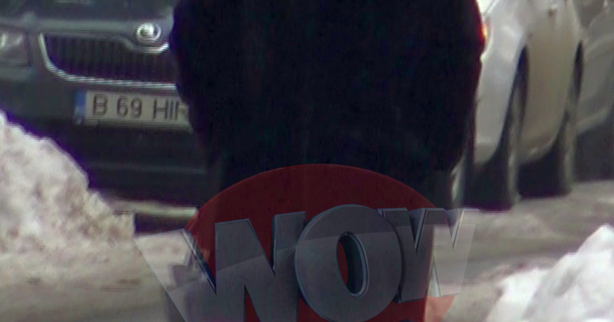 Lui Dan Nicorescu parca i s-au scufundat corabiile! Are probleme in ...