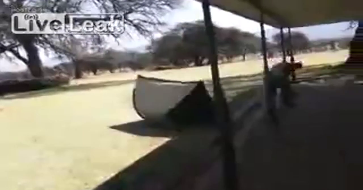 VIDEO Ce gluma proasta! S-a trezit din cauza unei impuscaturi! Uite ...