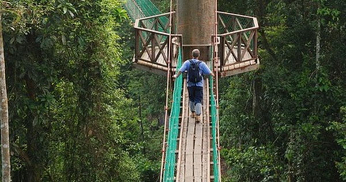 Te vei simti ca Mowgli cand o sa vezi imaginile astea! In cei mai ...